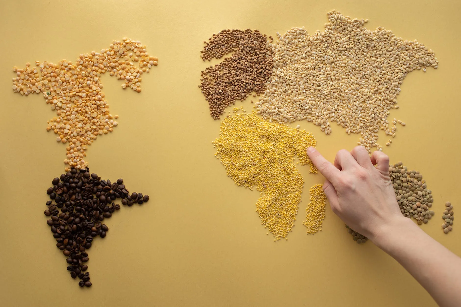 Types of Region - Geographic Book