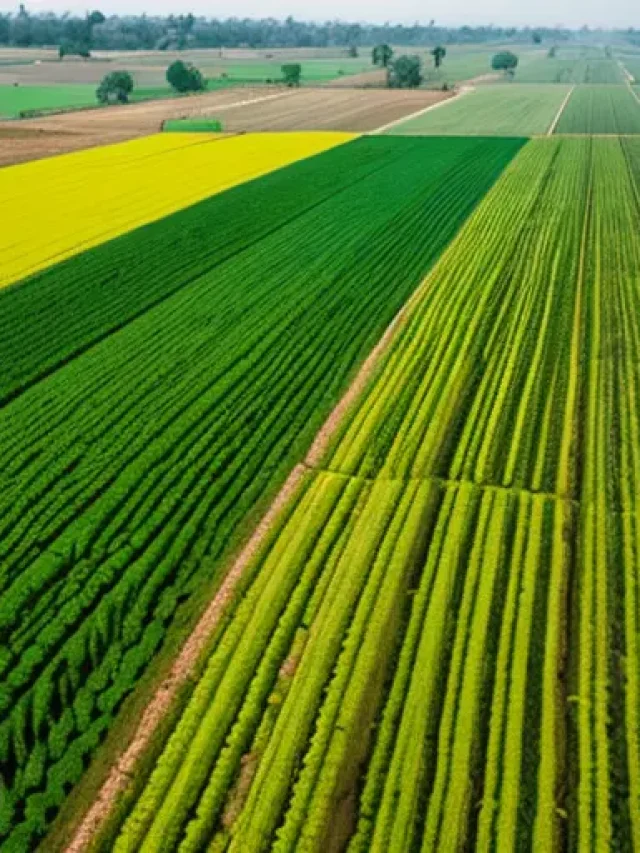 How GIS is Transforming Agriculture: Precision Farming Explained ...